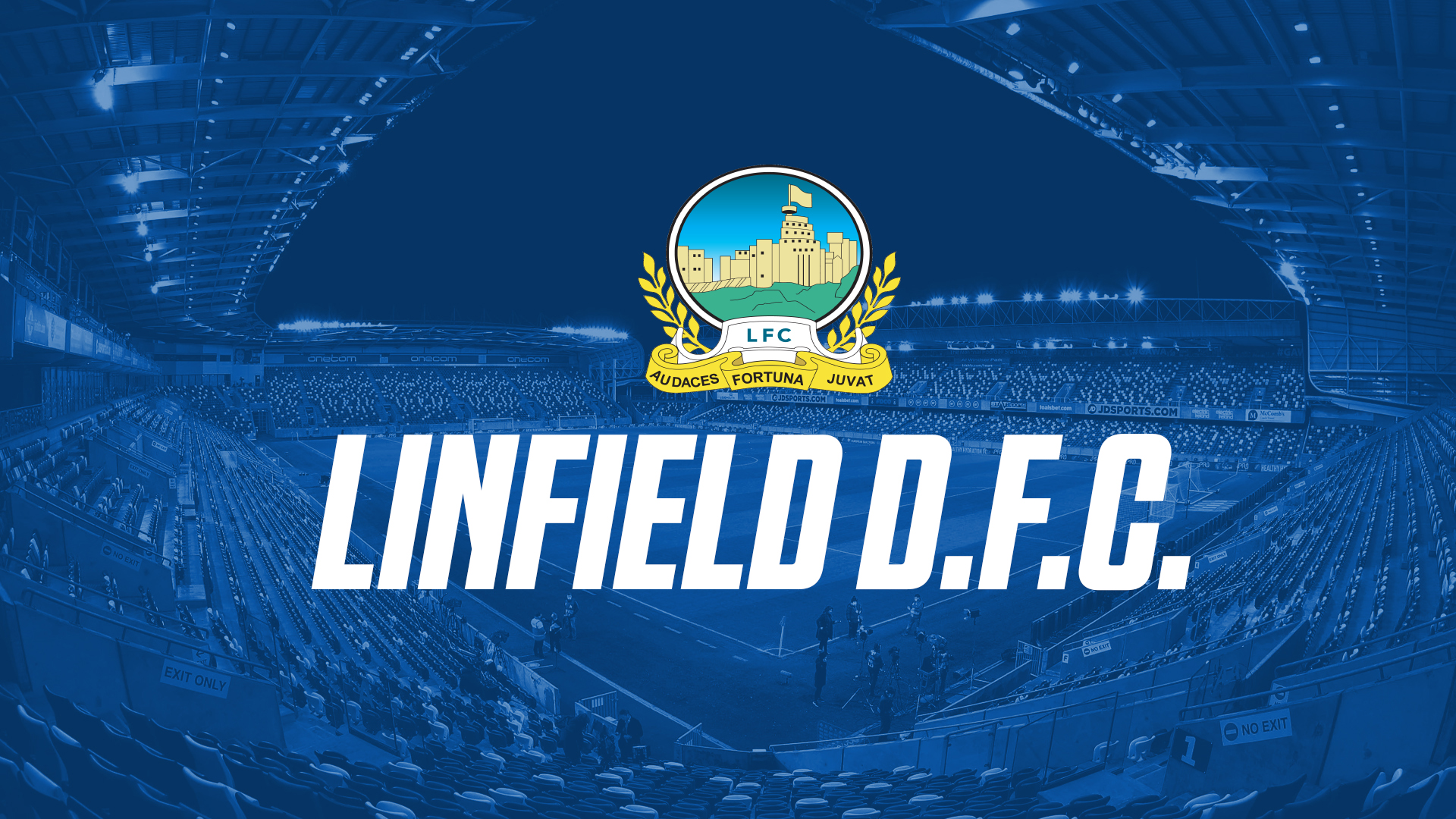 Linfield D.F.C. Seniors conclude their season with double title success ...
